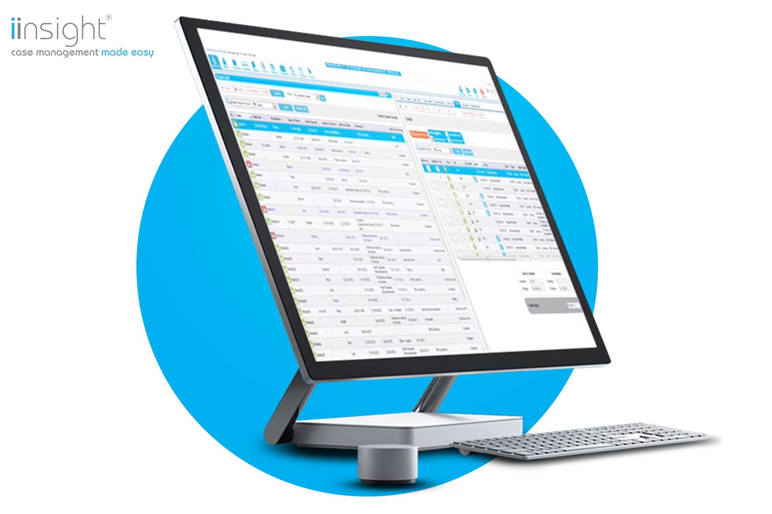 Case and Admin Notes – iinsight